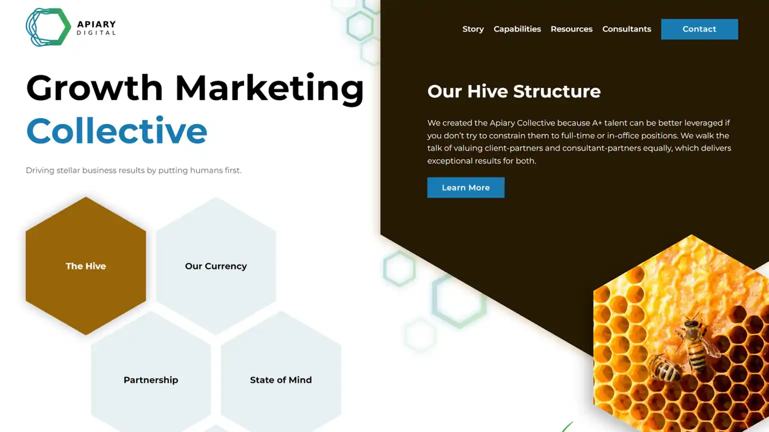 5 takeaways fromour rebranding - Apiary Digital