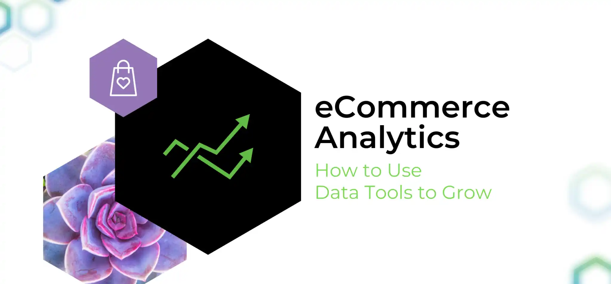 eCommerce Analytics: How to Use Data Tools to Grow - Apiary Digital
