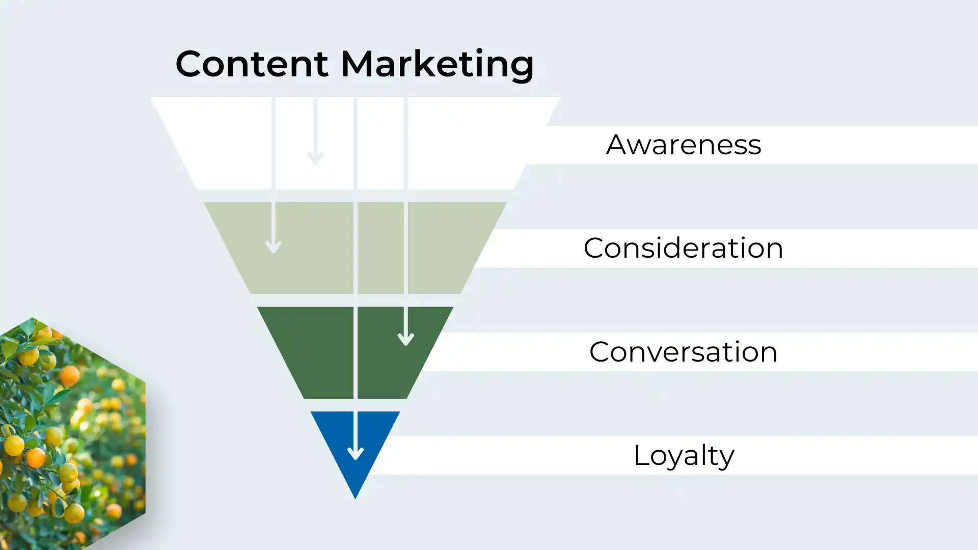11 Benefits of Content Marketing for Your Business - Apiary Digital