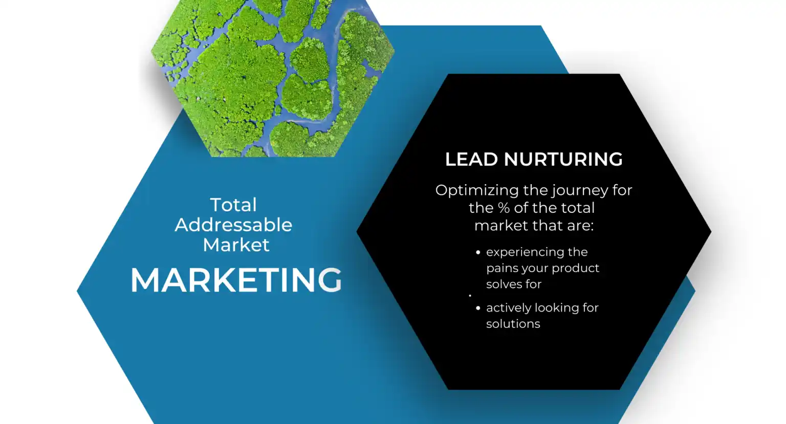 Lead Nurturing: Definition, Strategies & Examples - Apiary Digital