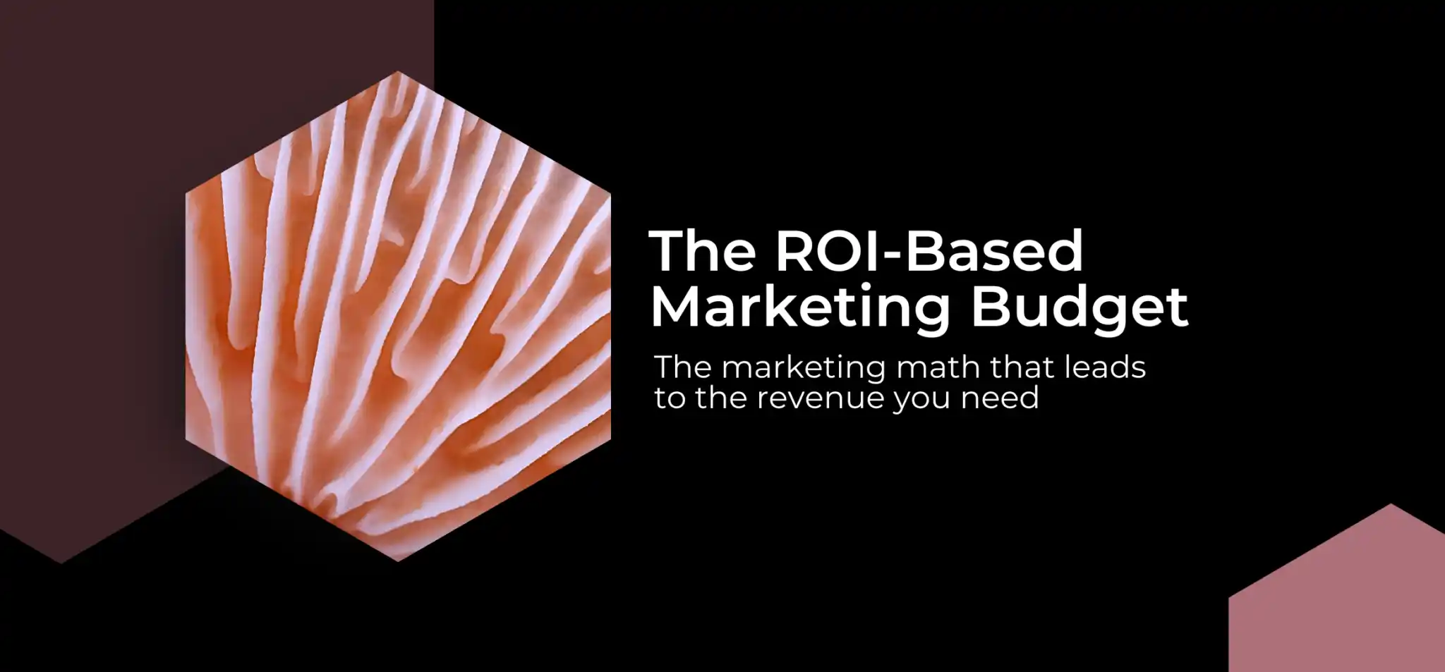 B2B ROI-Based Marketing Budget Calculators - Apiary Digital