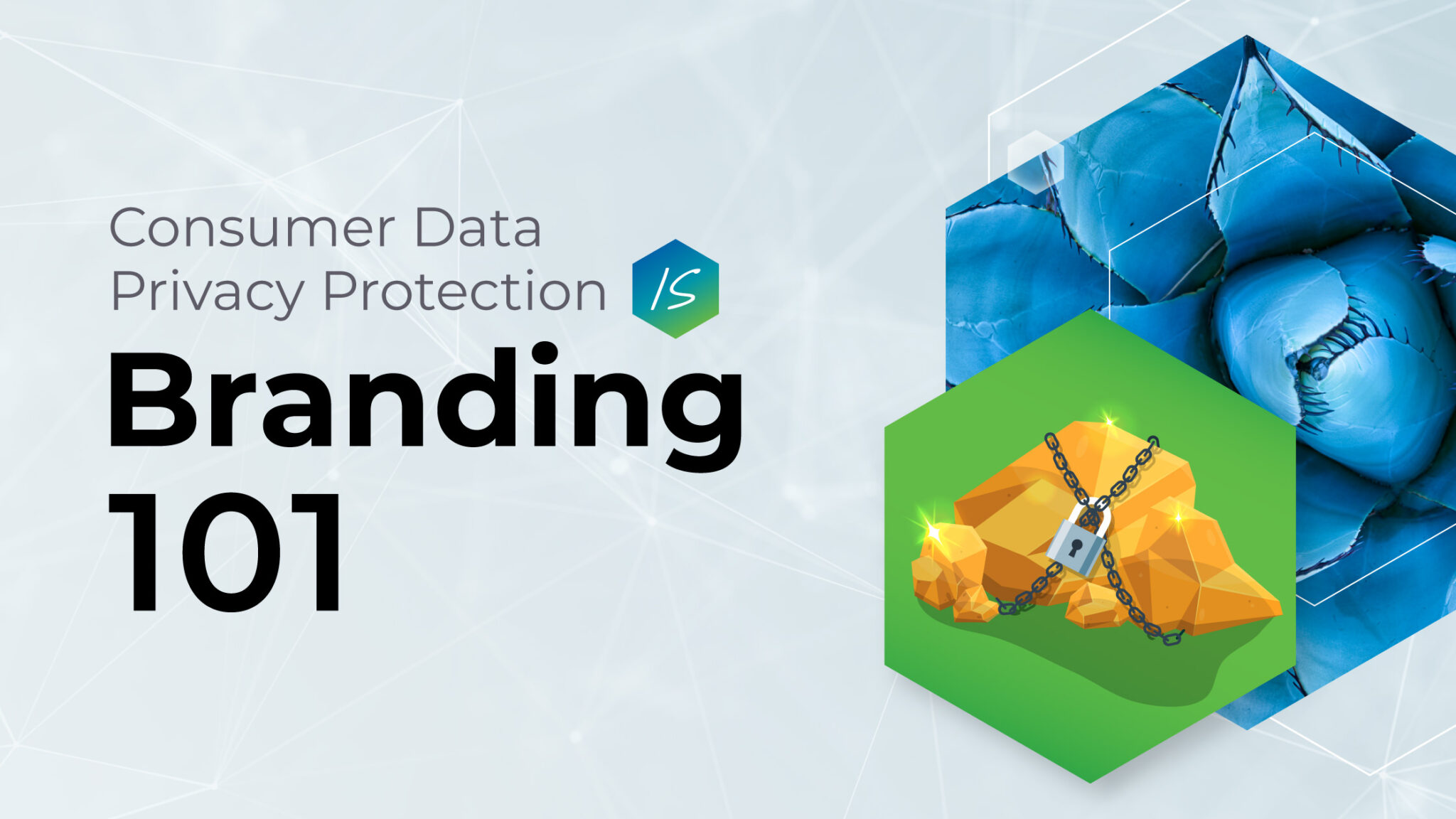 Consumer Data Privacy Protection Is Branding 101 - Apiary Digital