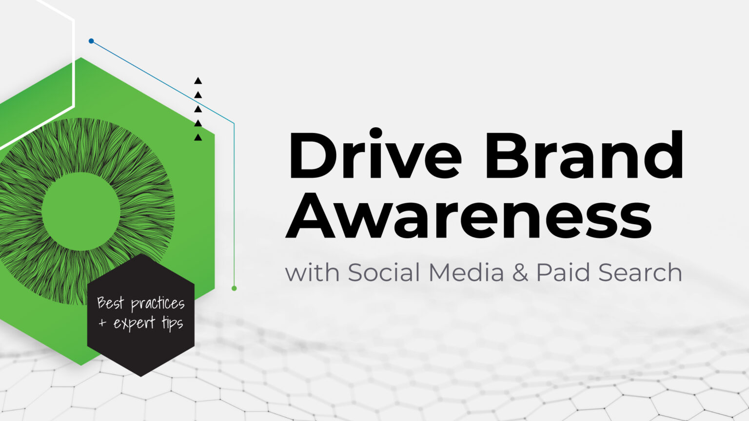 Drive Brand Awareness with Social Media & Paid Search - Apiary Digital